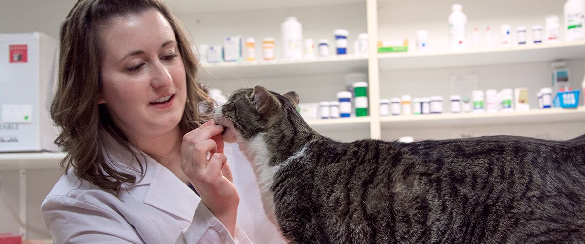 For the Love of Animals: Oneida County Impact | Wisconsin Alumni ...