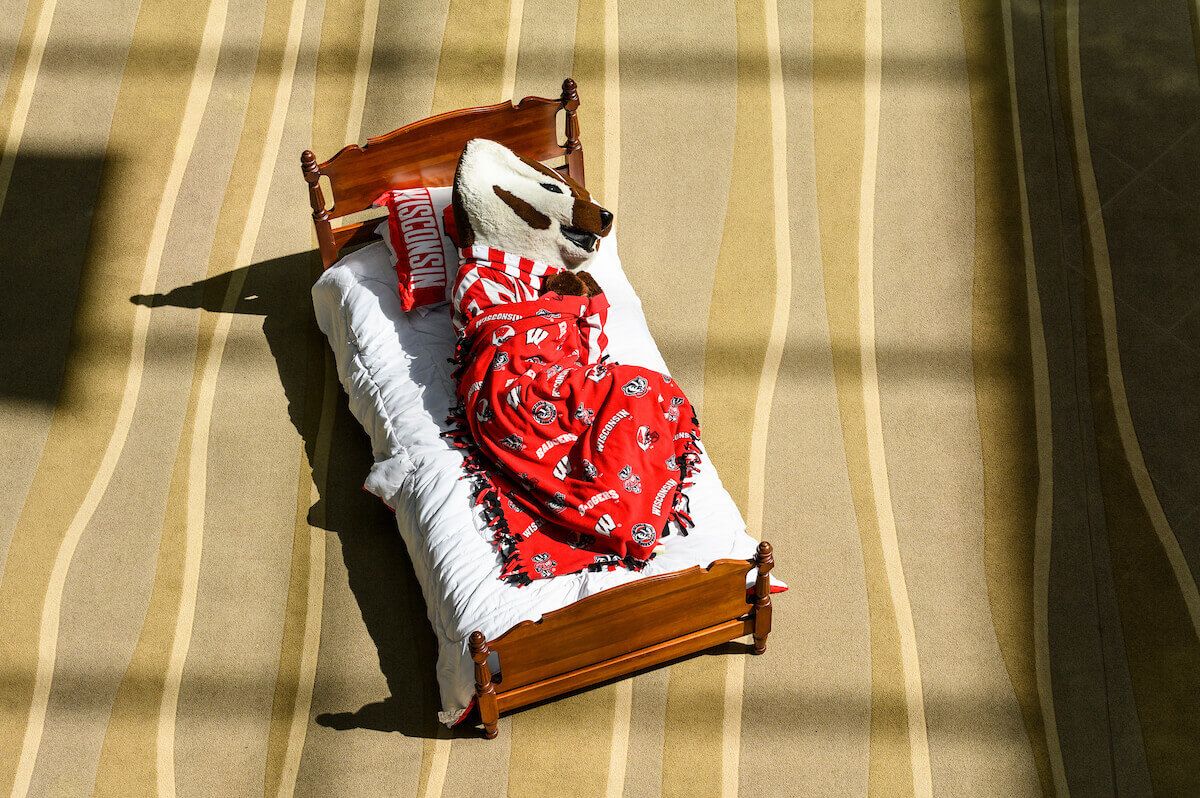 How’s your nap game? | Wisconsin Alumni Association