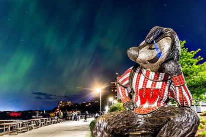 Bucky Warms Up for Day of the Badger 2024 | Wisconsin Alumni Association