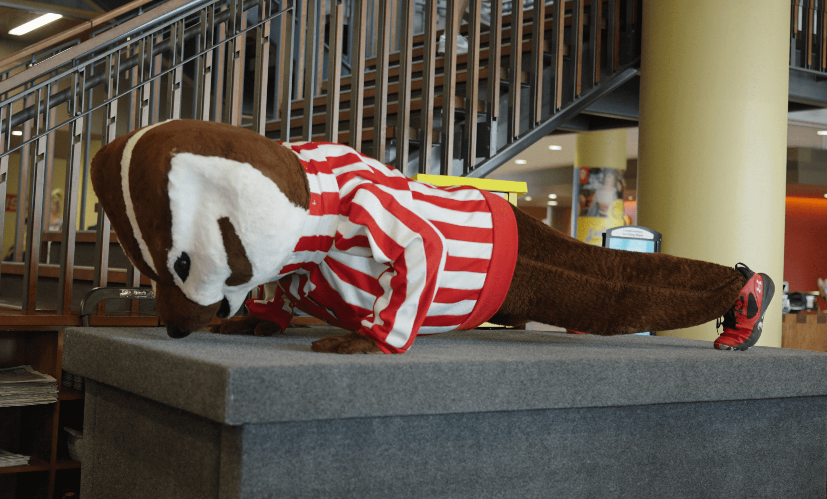 Day of the Badger Sets a New Record | Wisconsin Alumni Association